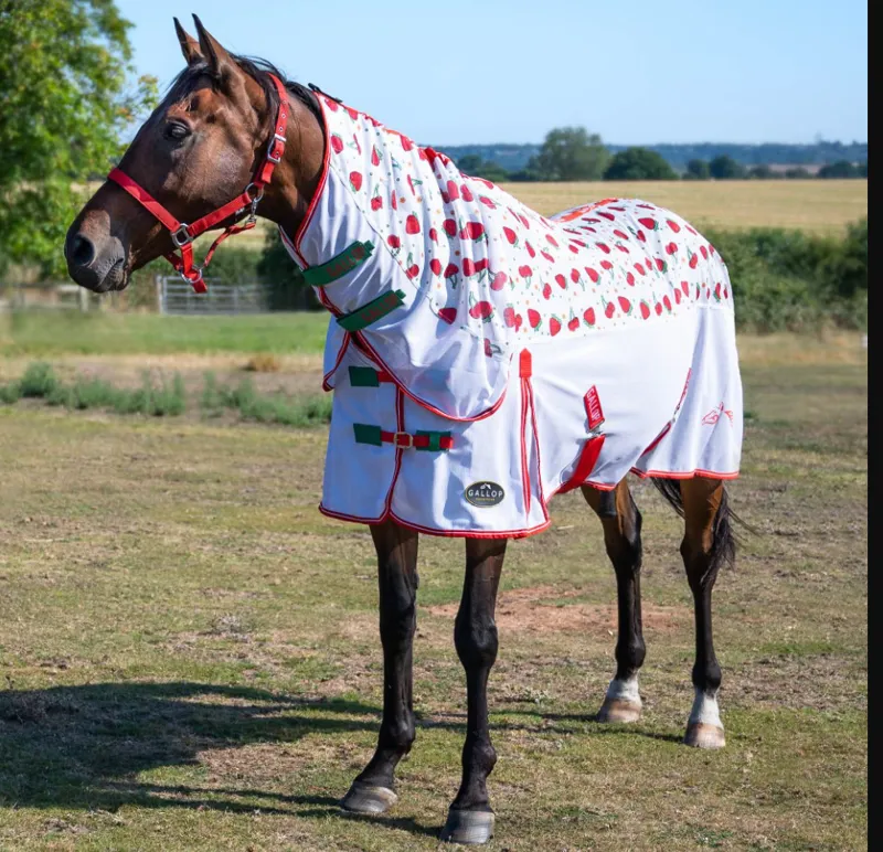 Gallop Combo Fly Rug Berries And Cherries