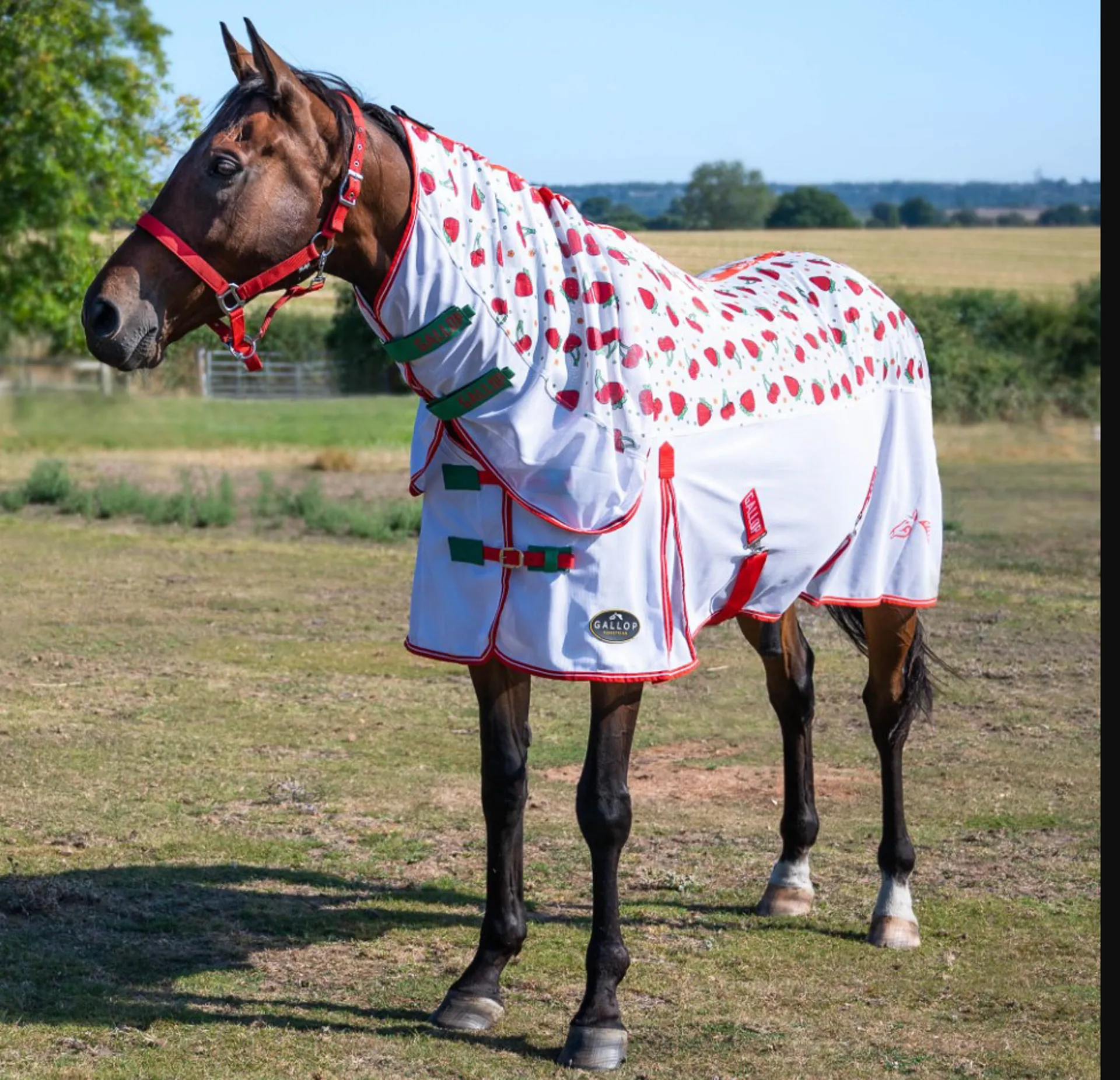 Gallop Combo Fly Rug Berries And Cherries