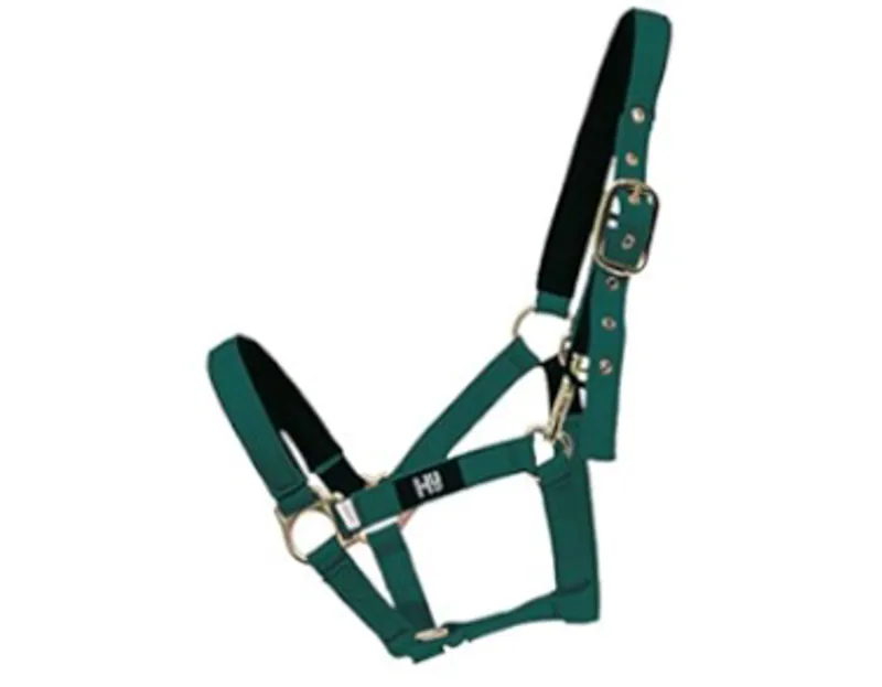 Hy Equestrian Fieldsafe Head Collar - - Green