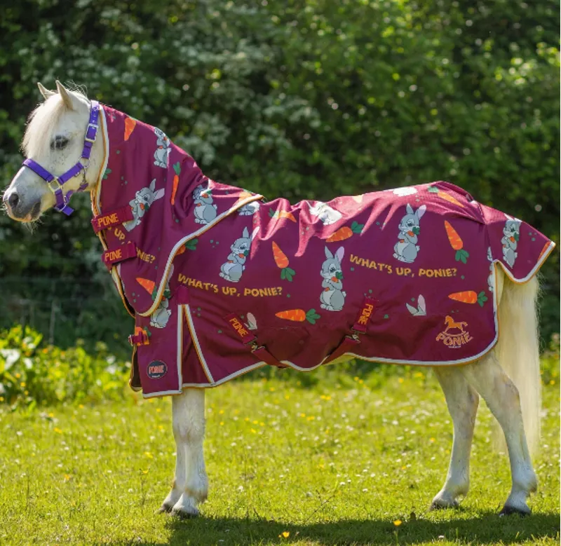 Gallop Ponie Rabbit And Carrot Dual 50g Turnout Rug And Neck Set